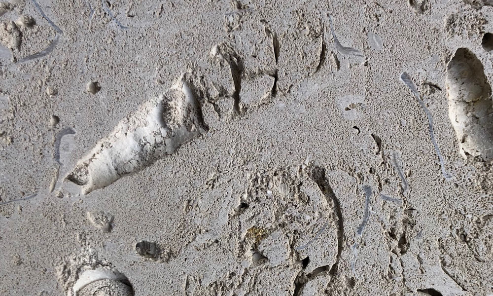 PRODUCTS - London Stone Company